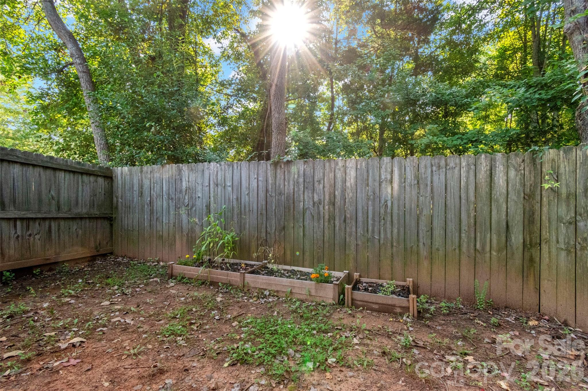 Photo 19 of 5541 Peachwood Drive, Charlotte, NC