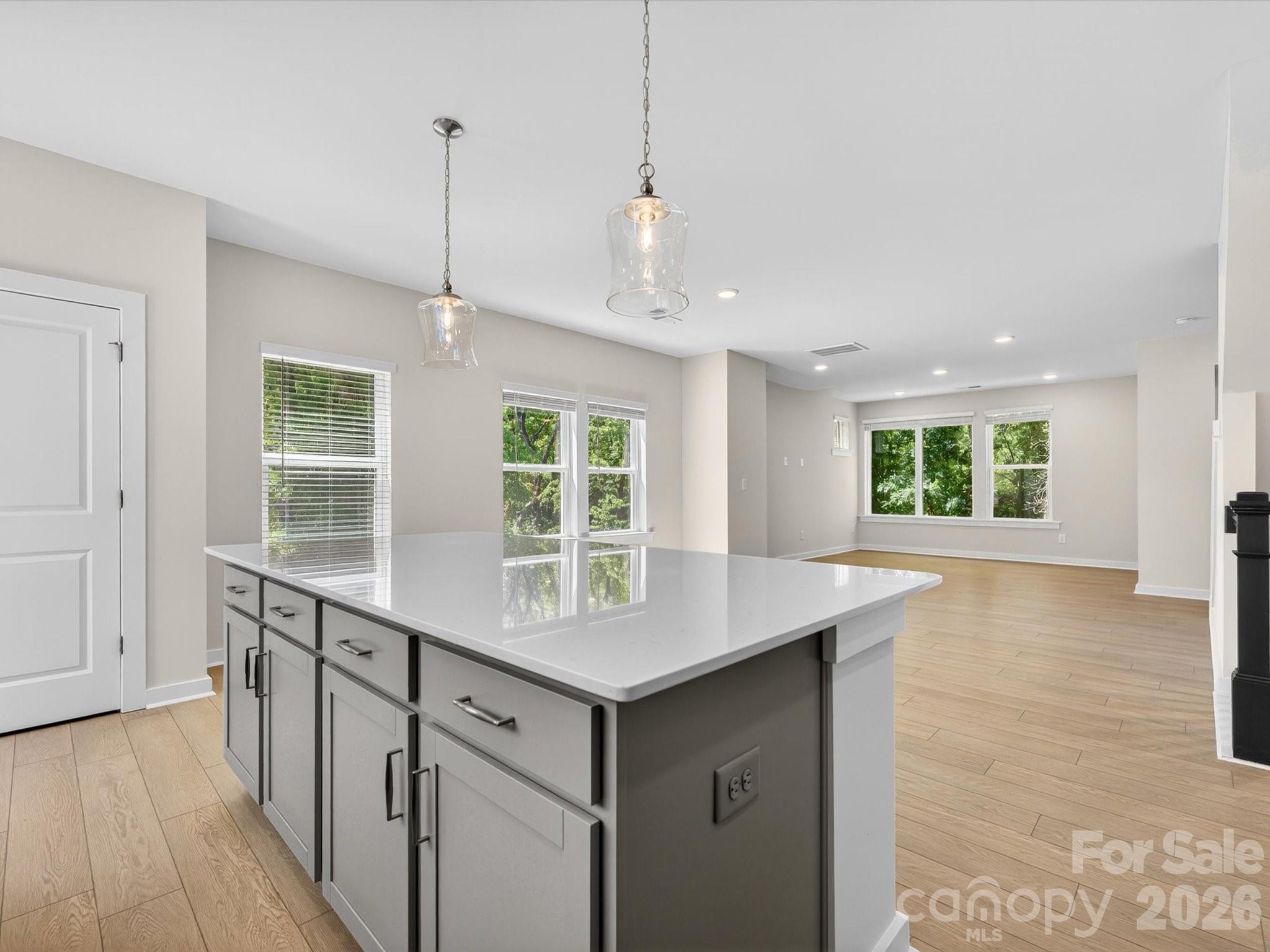 Photo 4 of 1534 Lithium Lane, Charlotte, NC