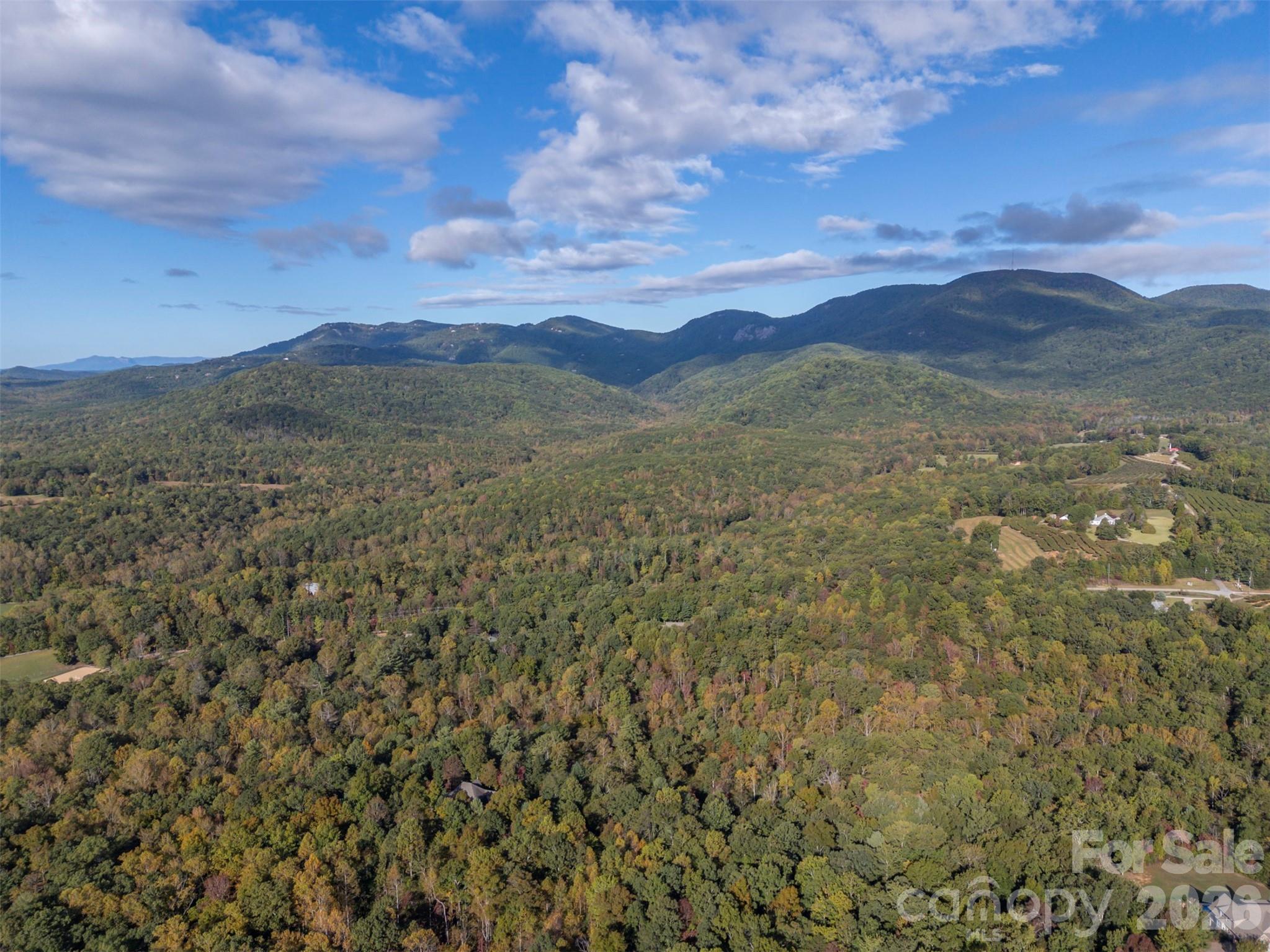 100 Pardo Road, Landrum, SC - photo 5 of 21
