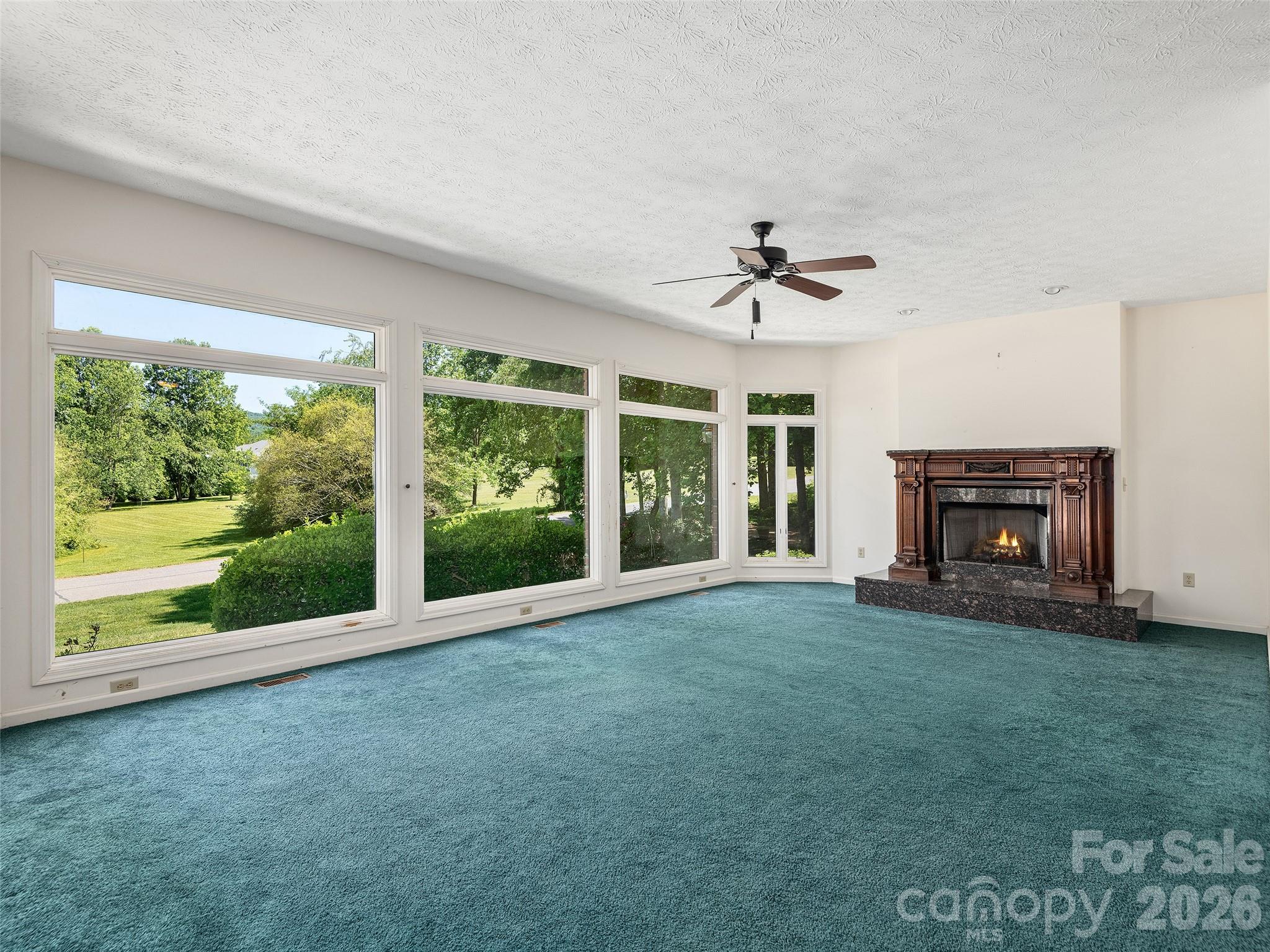 39 Beaumont Drive, Hendersonville, NC - photo 3 of 36