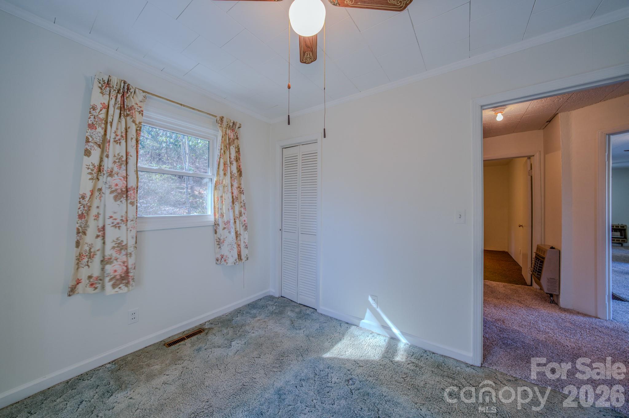 550 Saluda Street, Hendersonville, NC - photo 16 of 30