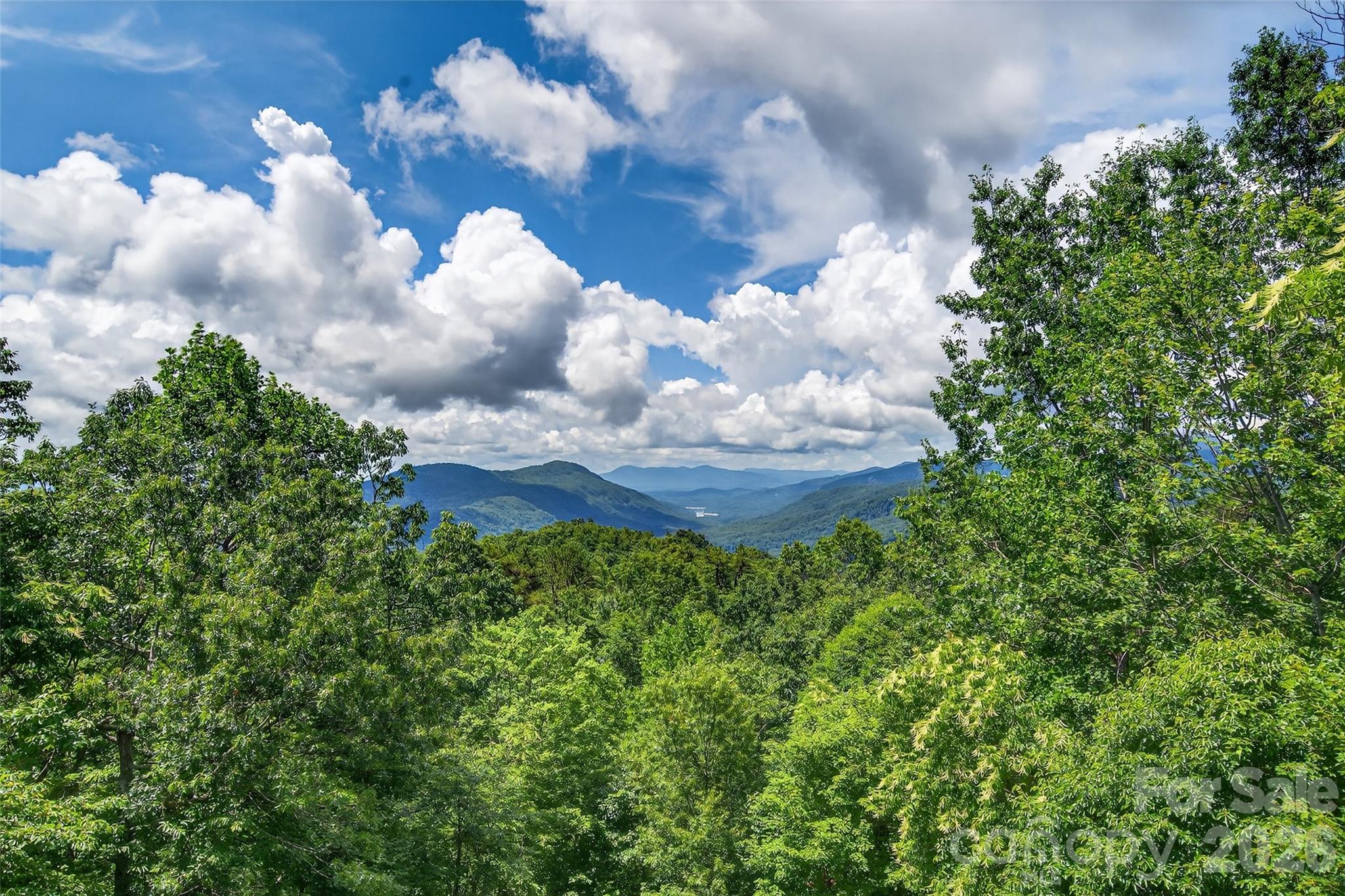 35 Elderberry Drive, Old Fort, NC - photo 19 of 49