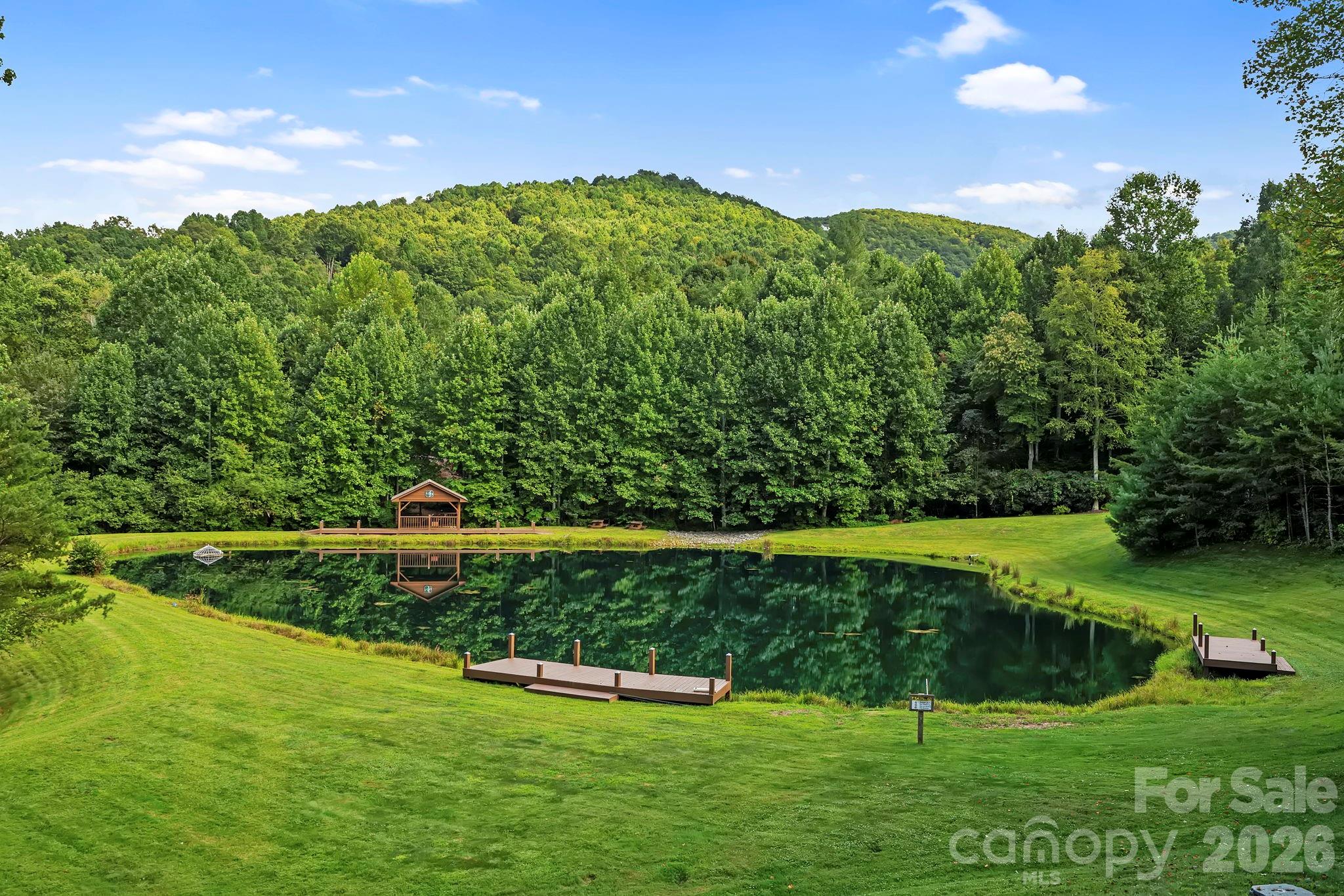 455 Blue Mist Way, Arden, NC - photo 43 of 46