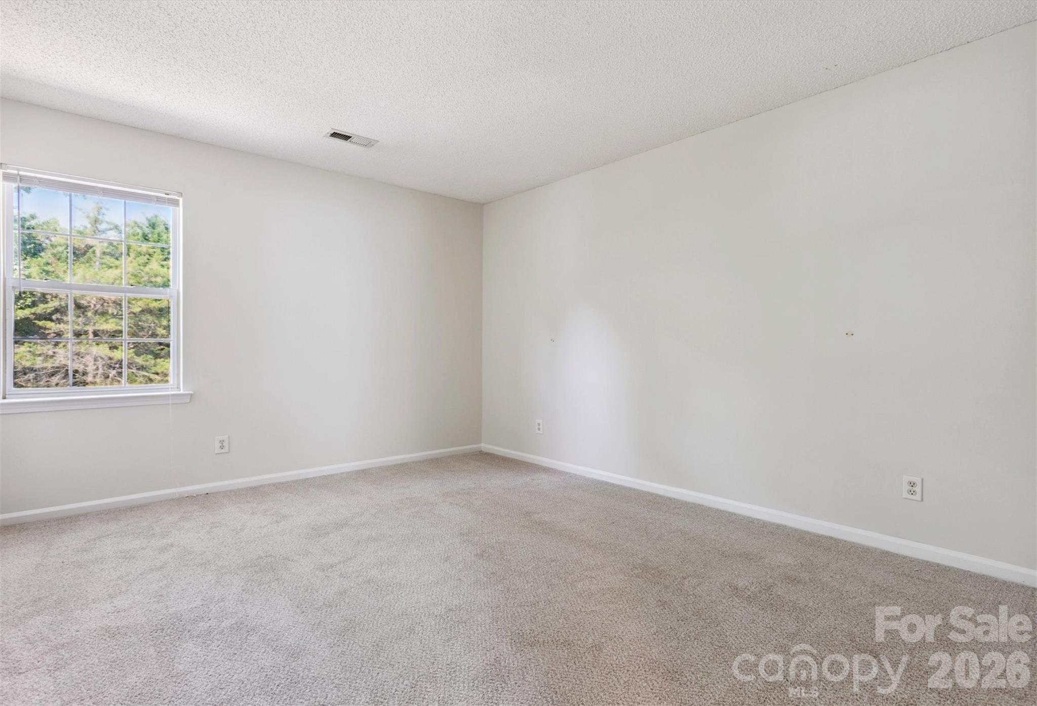 411 Carlisle Drive, Indian Trail, NC - photo 10 of 27