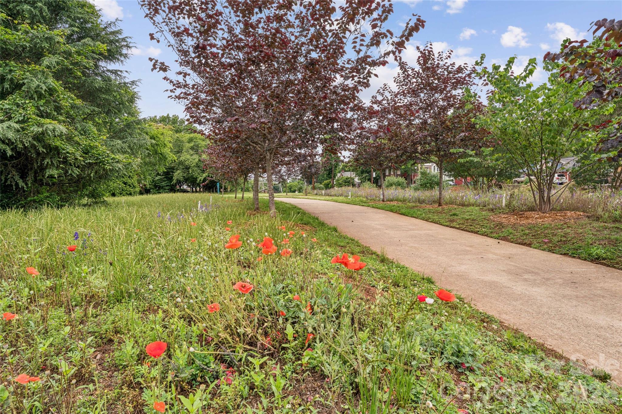 Photo 6 of 343 Hurston Circle, Charlotte, NC