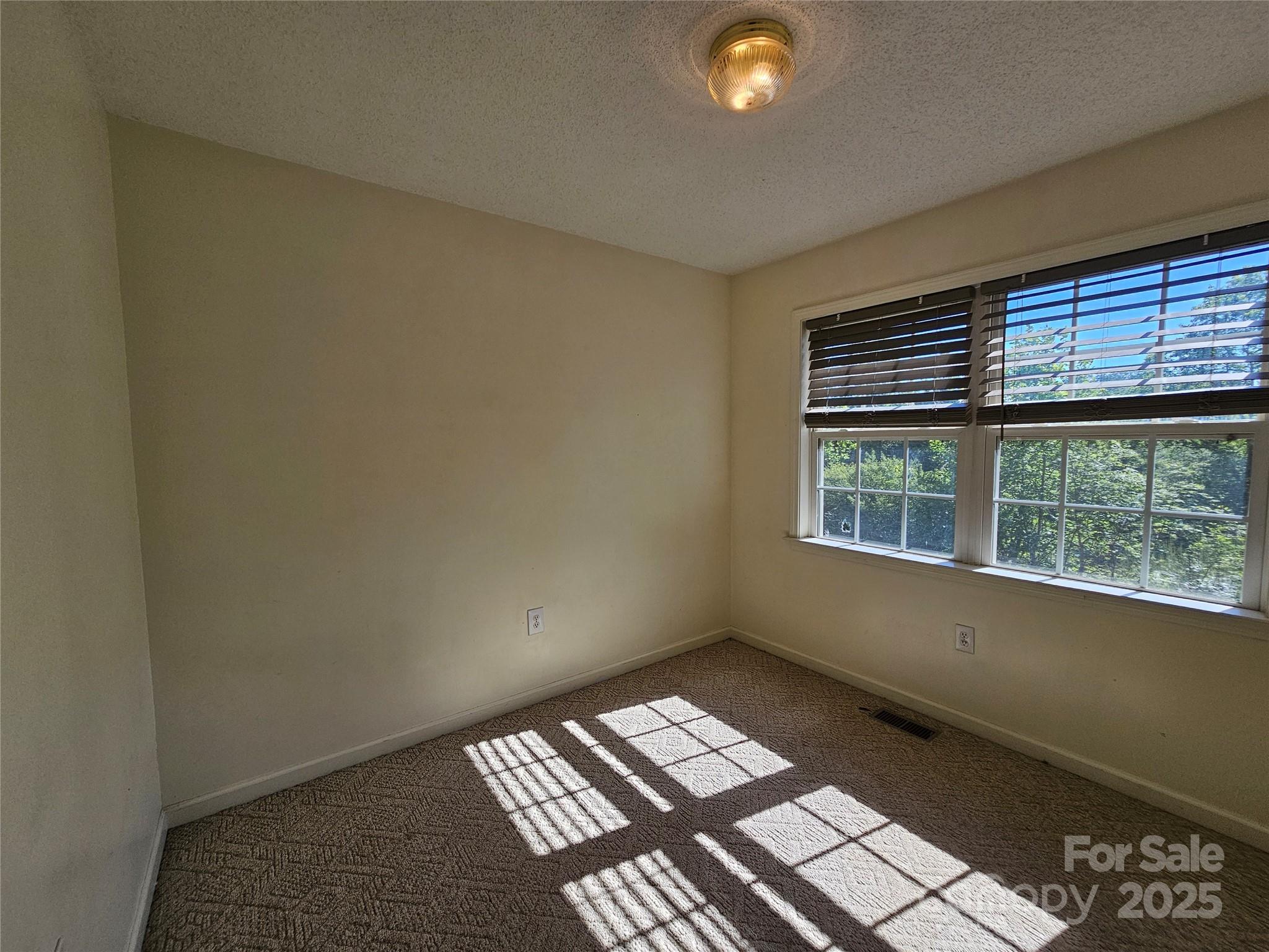 130 Susan Road2, Casar, NC - photo 7 of 13
