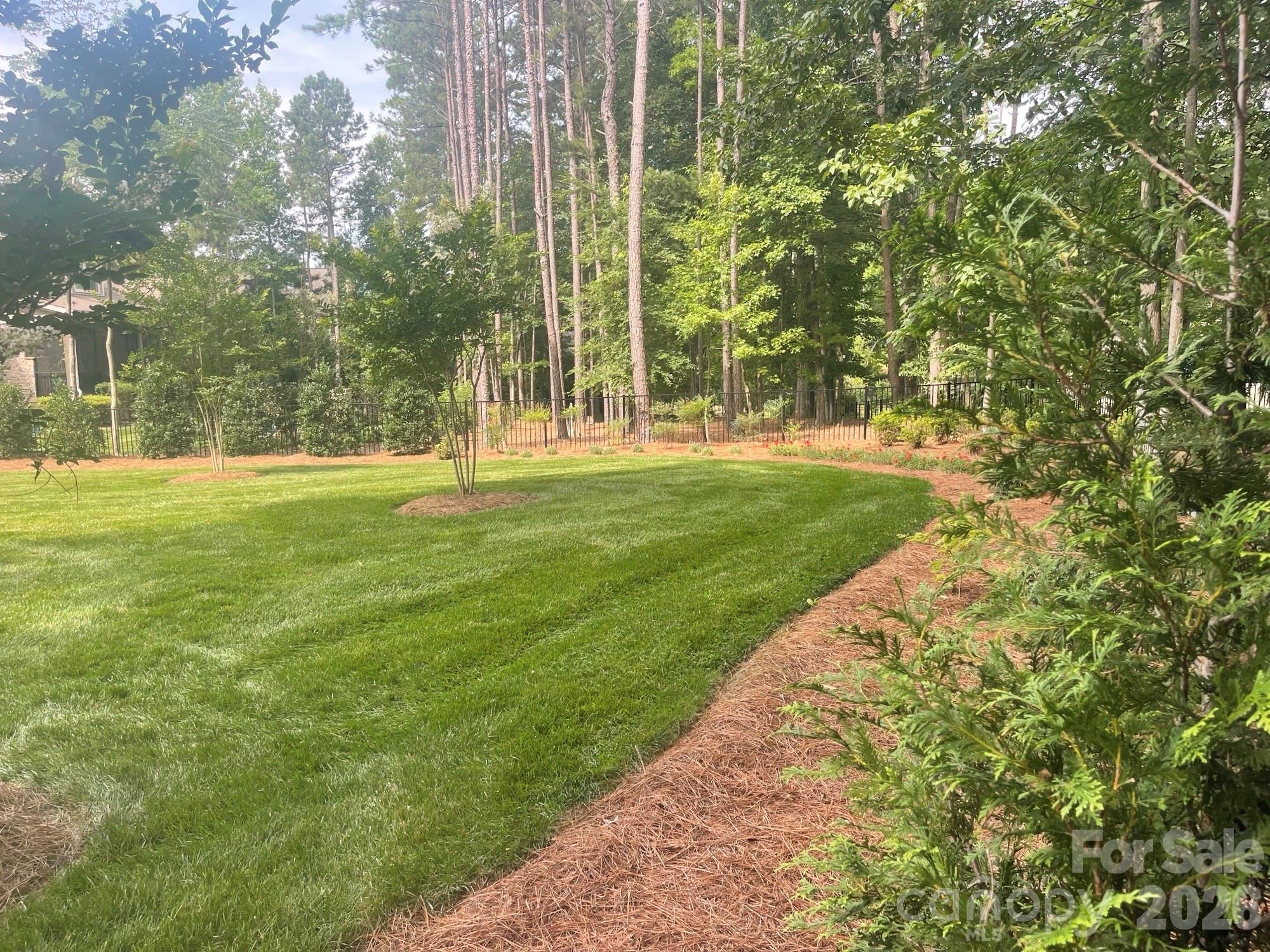 4231 Piaffe Avenue, Mint Hill, NC - photo 48 of 49