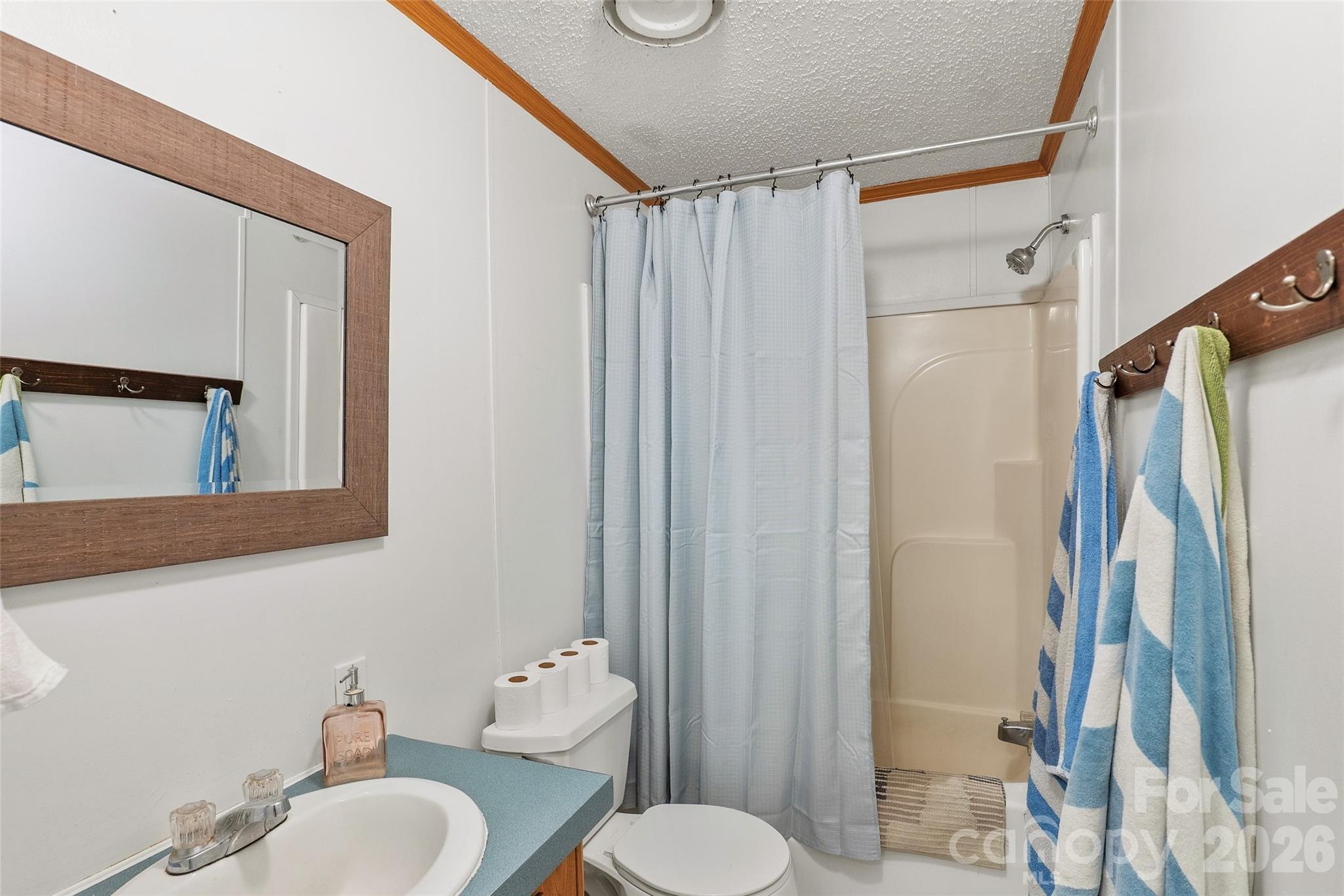 611 Turkey Creek Terrace, Leicester, NC - photo 29 of 43