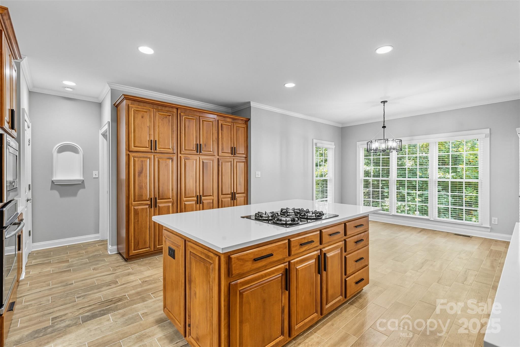 Photo 15 of 11139 Tradition View Drive, Charlotte, NC