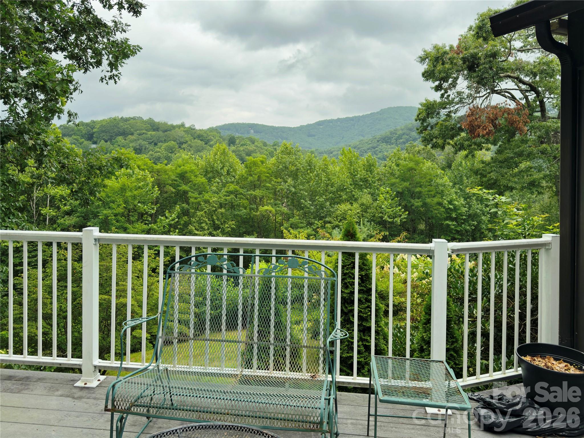 40 Sanctuary Drive, Burnsville, NC - photo 3 of 39