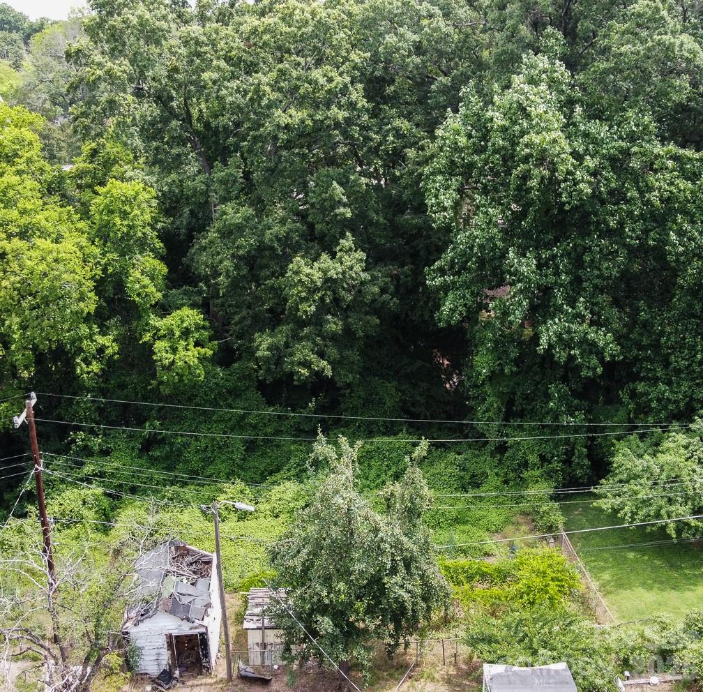 Photo 6 of 909 Drummond Avenue, Charlotte, NC