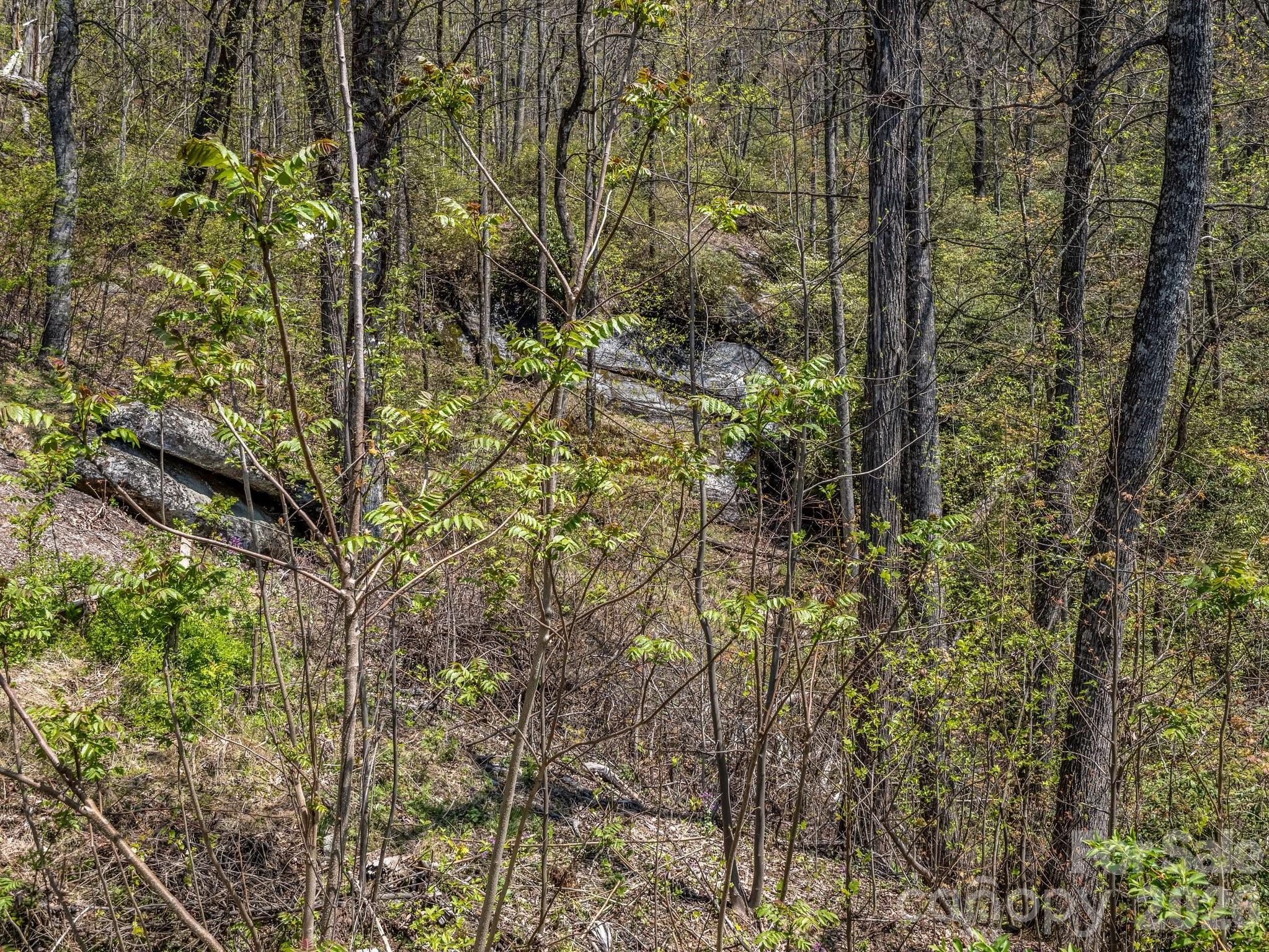 1424 Wolfpen Road, Old Fort, NC - photo 39 of 46