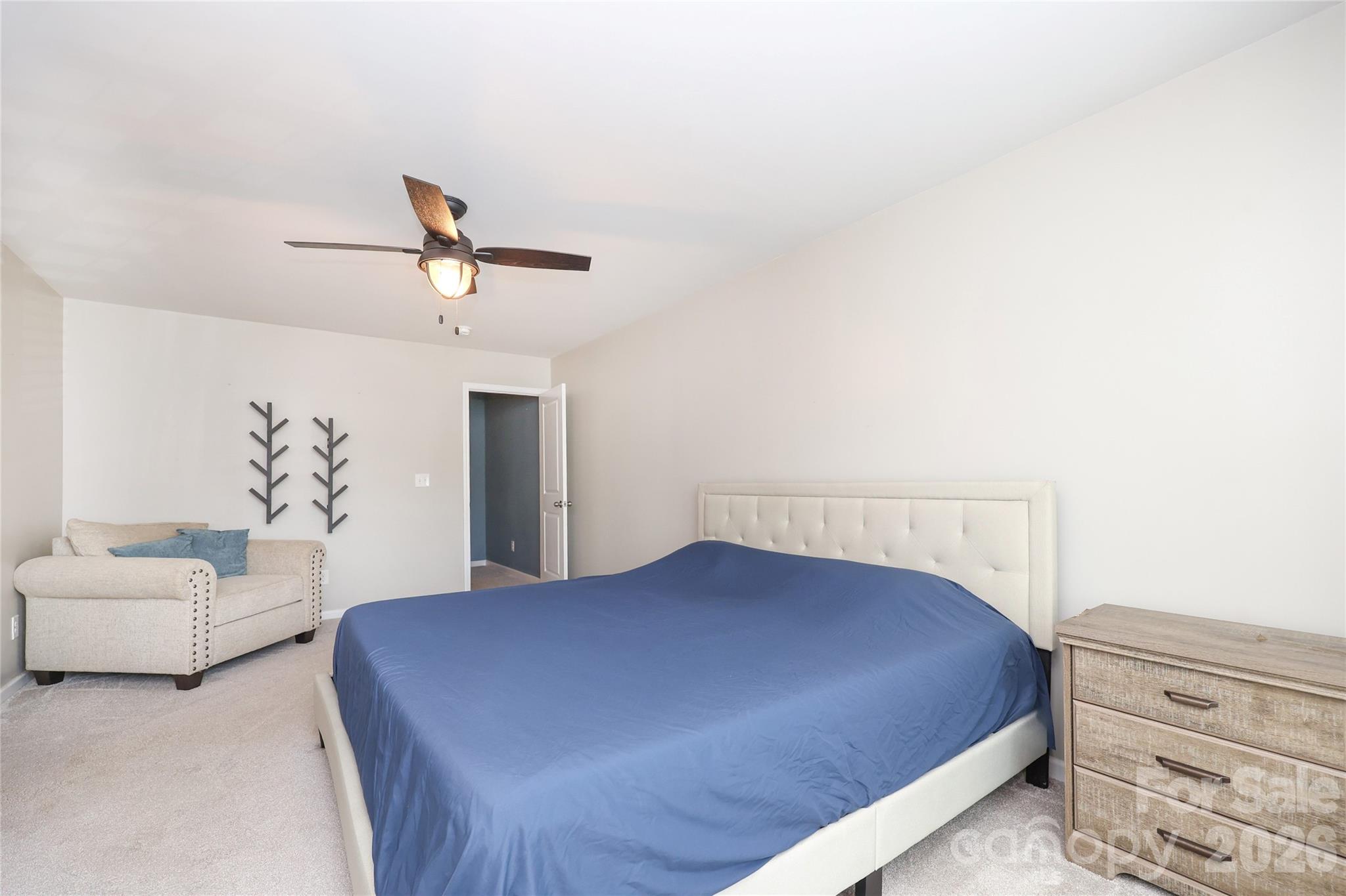 1086 Chicory Trace, Clover, SC - photo 21 of 43