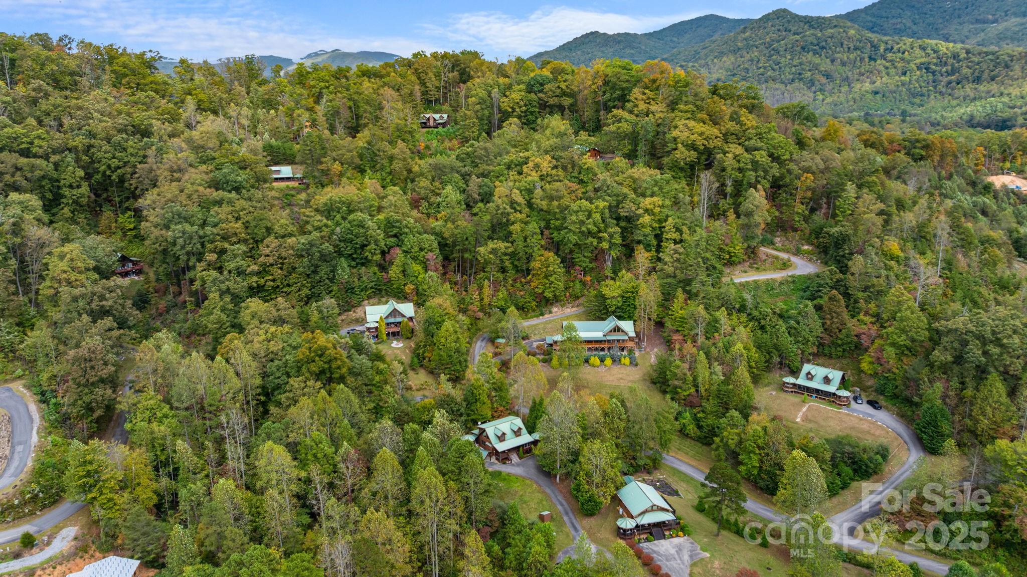 80 Slow Lane, Whittier, NC - photo 4 of 49