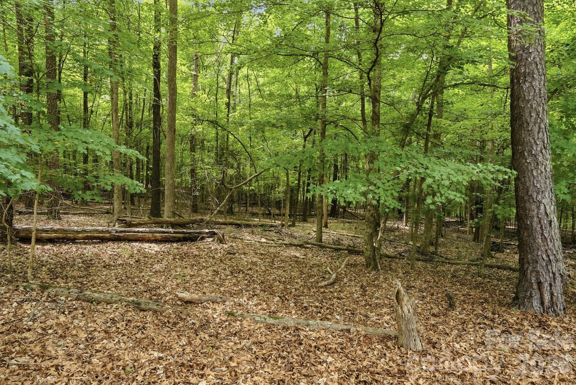 405 Hillcrest Drive, Harrisburg, NC - photo 43 of 46