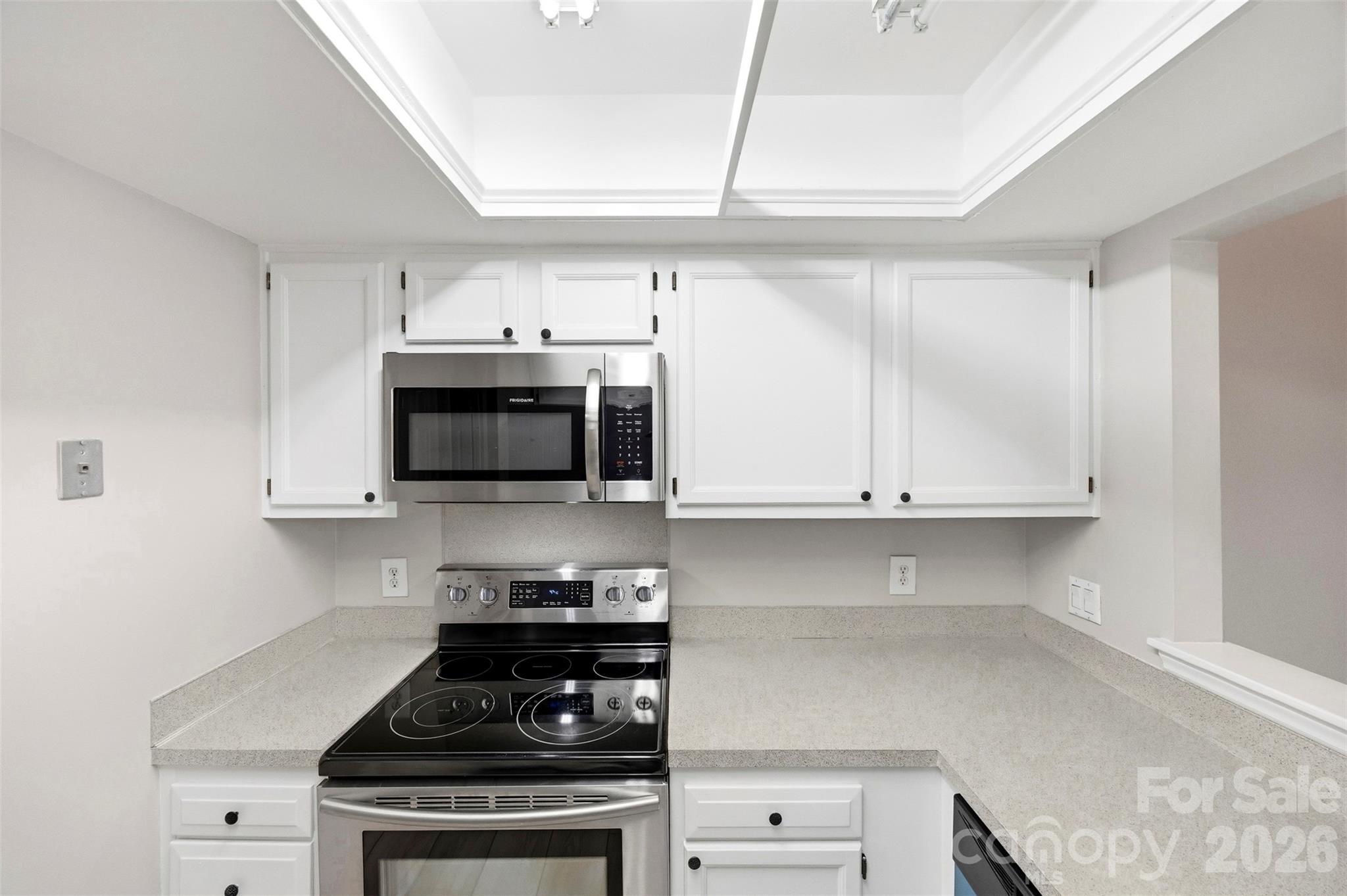 Photo 7 of 9320 South Vicksburg Park Court, Charlotte, NC