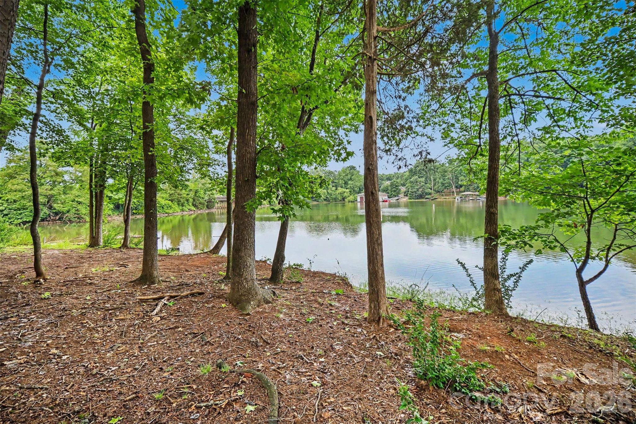 Photo 47 of 10718 Cove Point Drive, Charlotte, NC