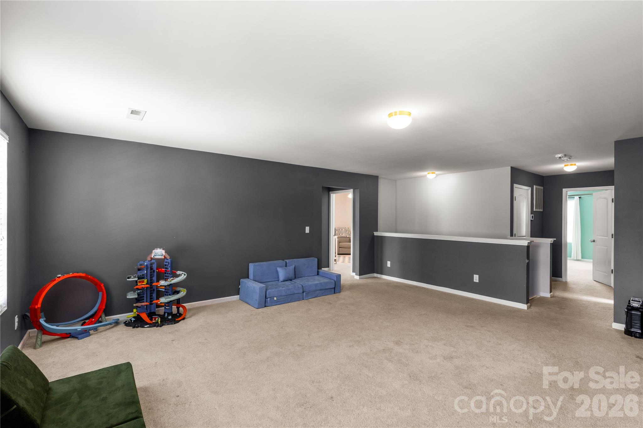 493 Dutch White Drive, Clover, SC - photo 21 of 45