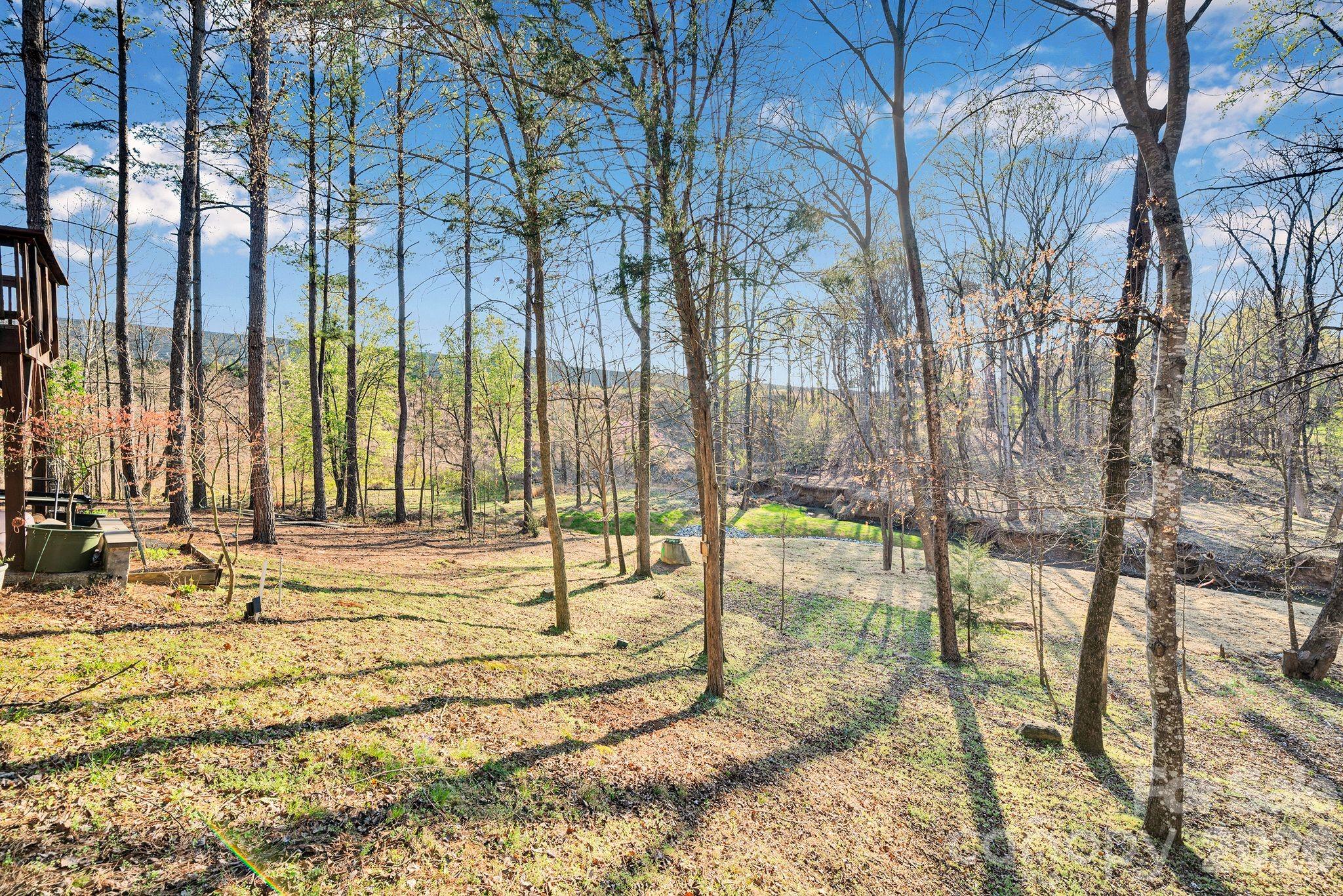 4754 Andrews Links Street, Charlotte, NC - photo 46 of 47