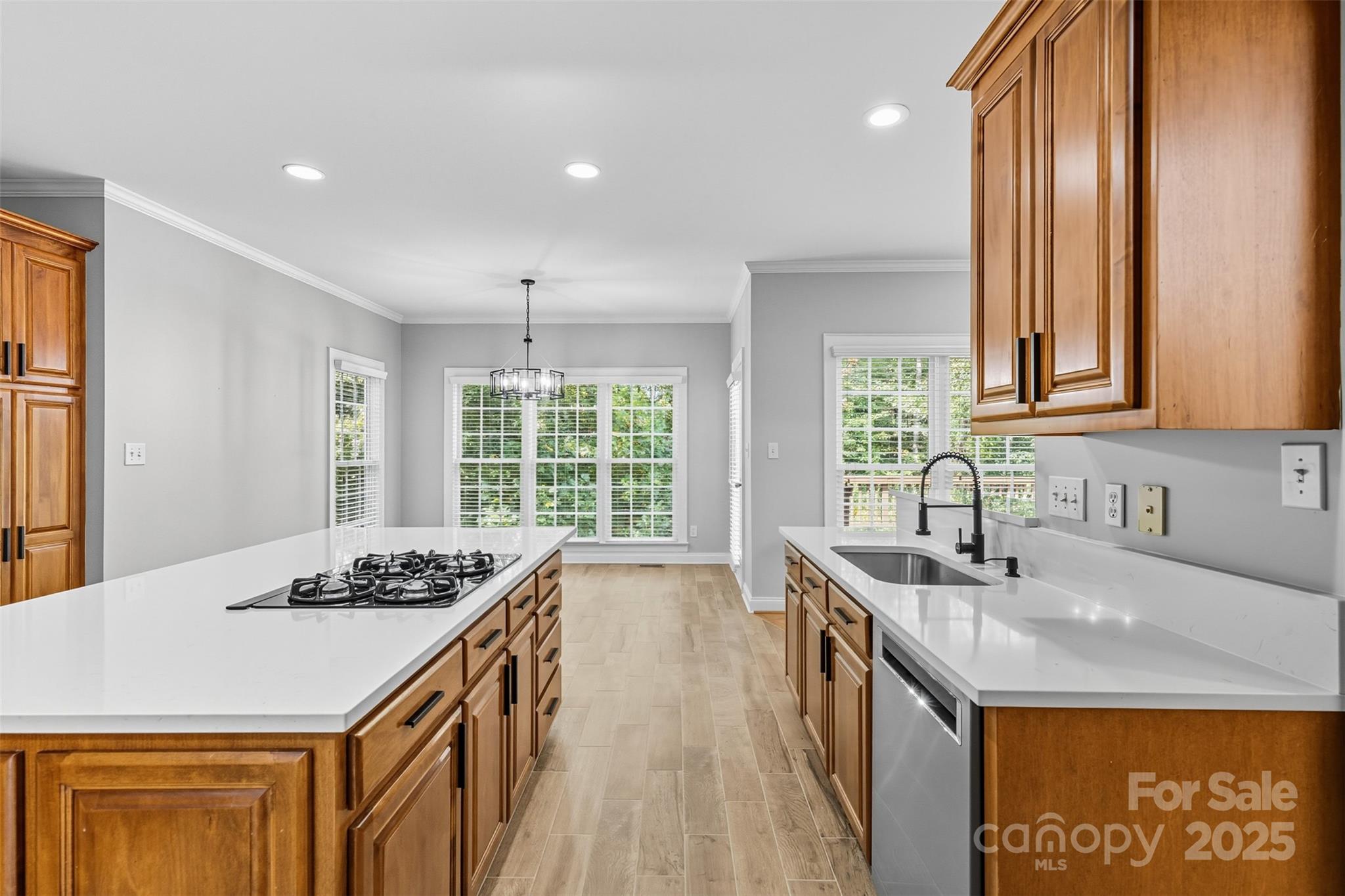 Photo 16 of 11139 Tradition View Drive, Charlotte, NC