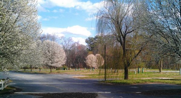 Cross Creek RV Resort - RV park for sale in Austell, GA 319799