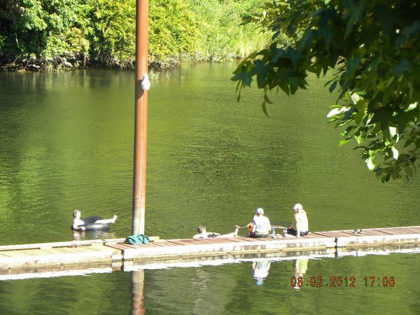 Maple Lane RV Park & Marina - RV park for sale in Mapleton, OR 441264