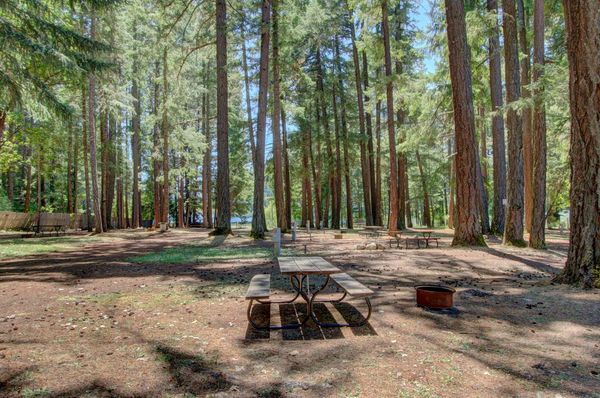Lake Selmac Resort - RV park for sale in Selma, OR 547710