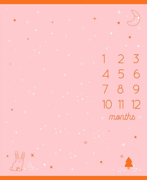 Moda Fabrics + Supplies Ruby Star Specials