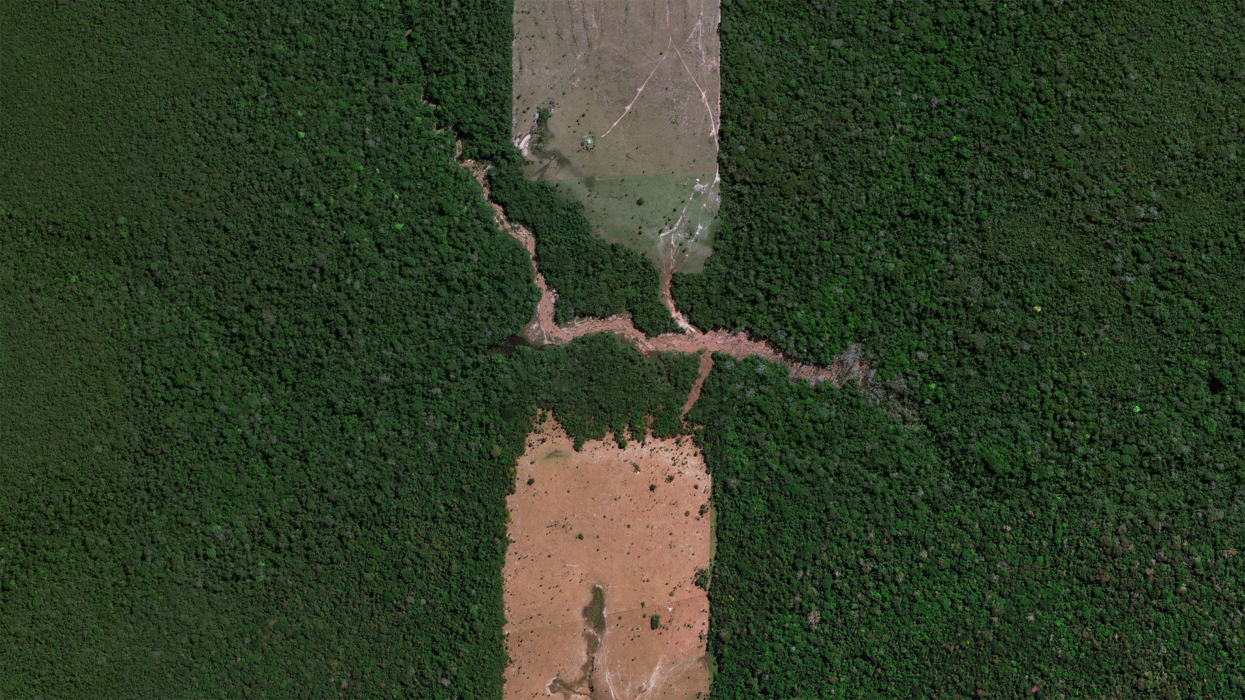 Pictures of deforestation in Brazil