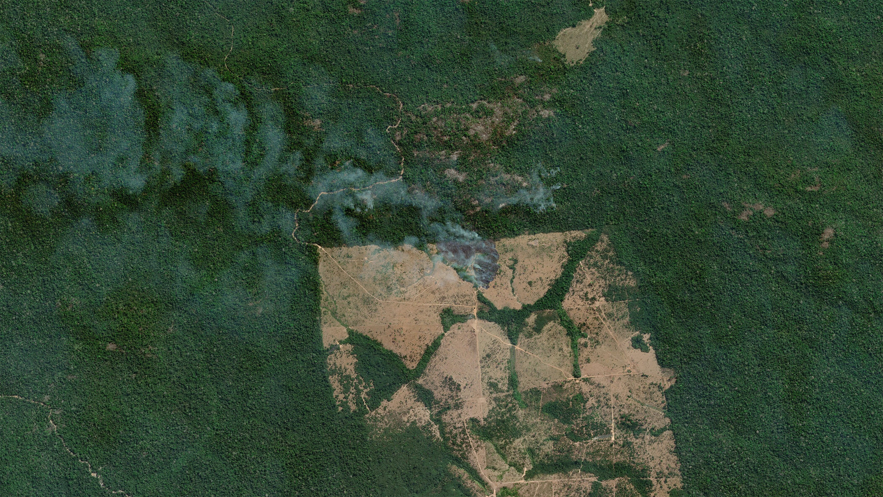 Pictures of deforestation in Brazil