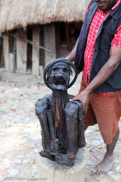 papua_5348