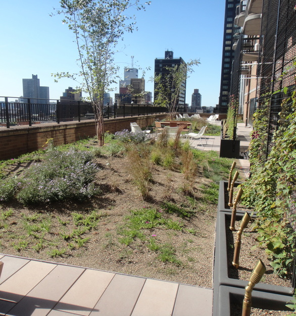 Bison Innovative Products