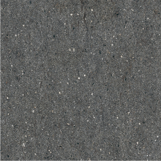 Stone Library, Montreal QC - Moruzzi