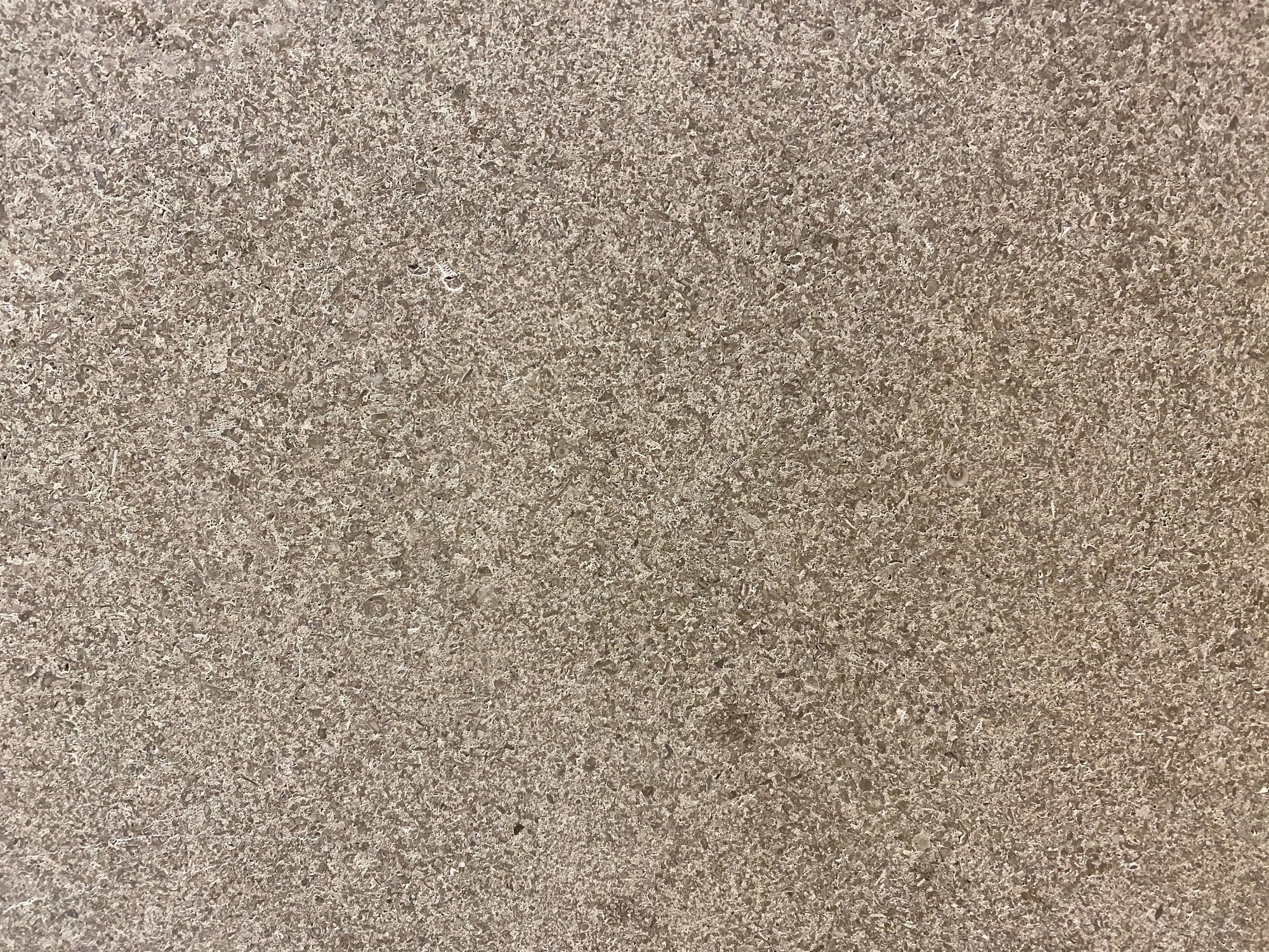 Exterior Surfaces, Montreal QC - Moruzzi