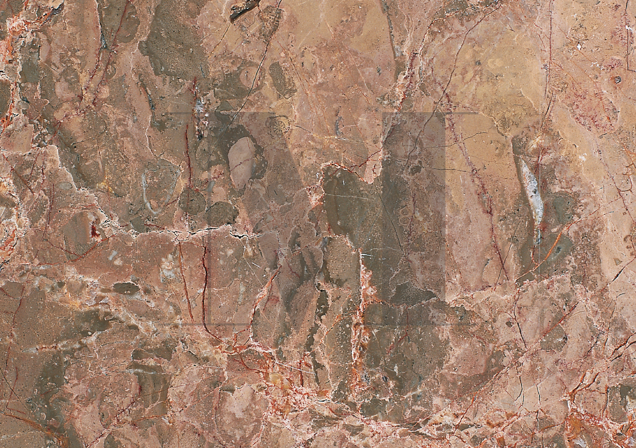 Marble Breccia Tavira - Moruzzi