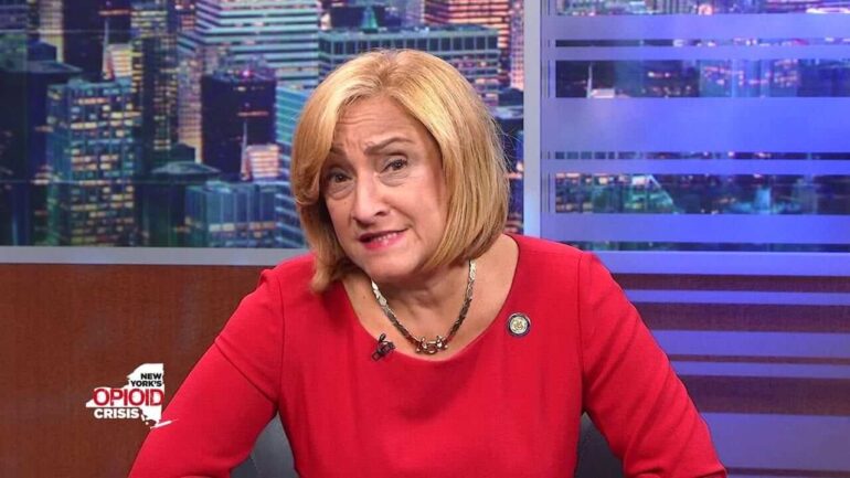 Interview with NYS OASAS Commissioner – Mountain Lake PBS