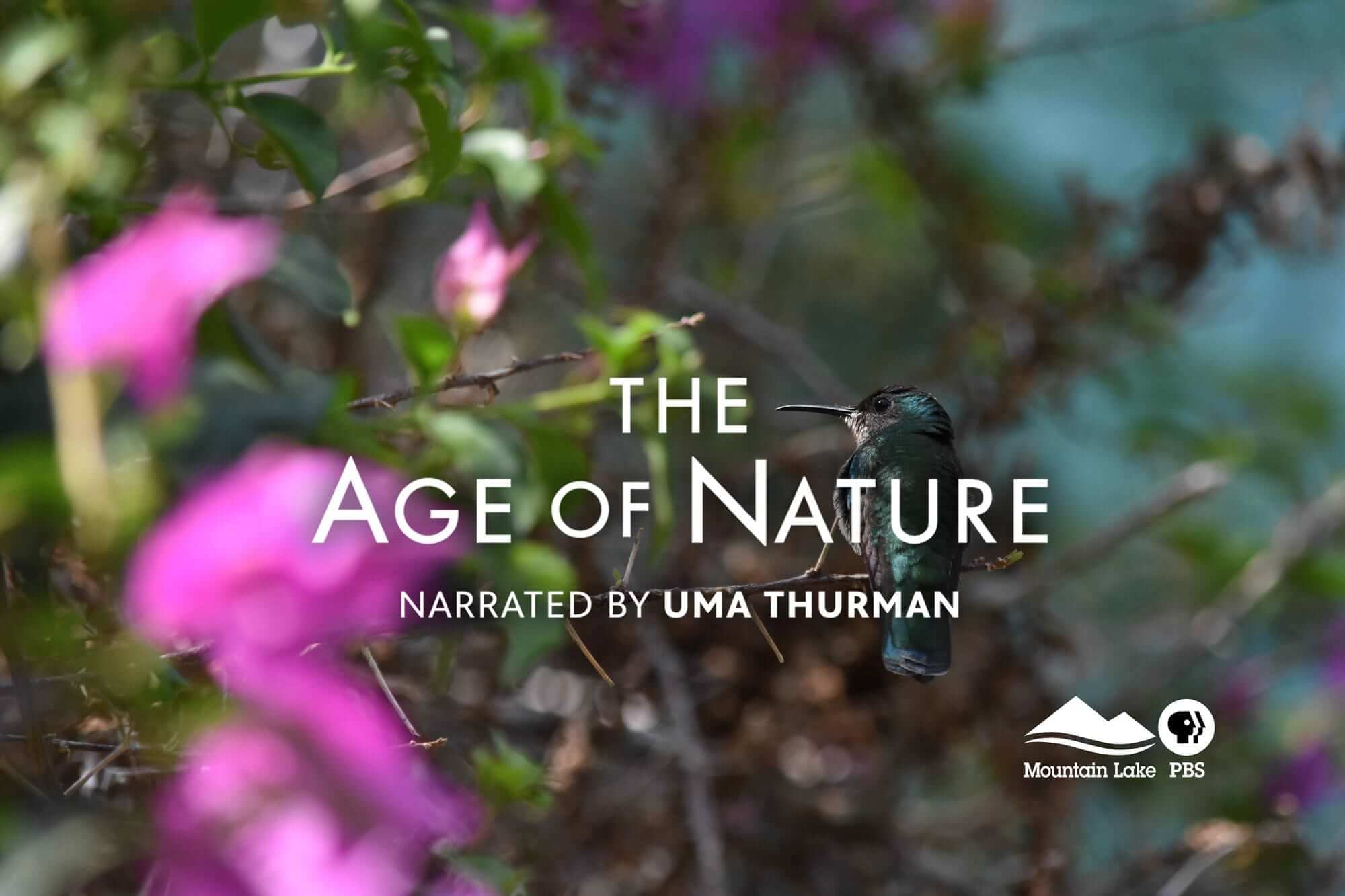The Age of Nature Virtual Discussion — Mountain Lake PBS