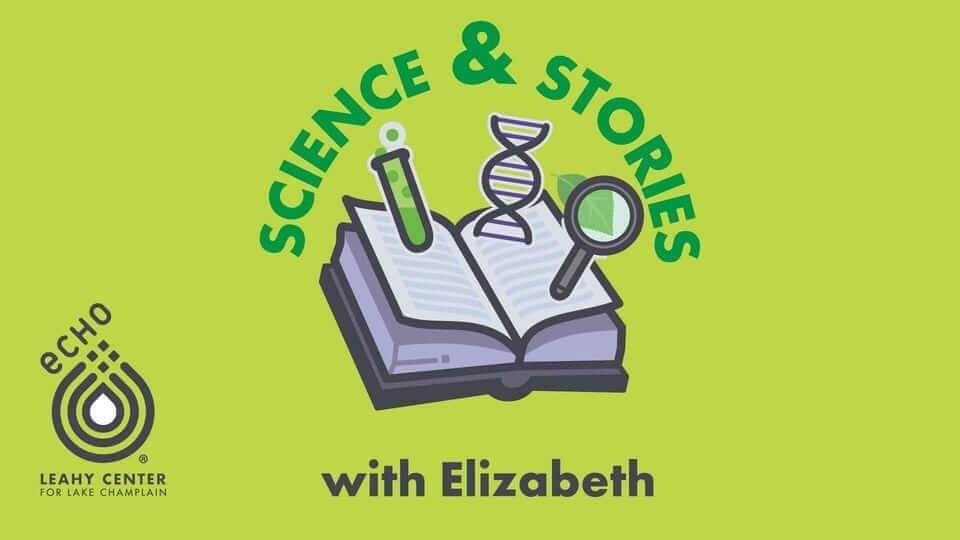 Explore the World of Science With ECHO Science & Stories Series ...