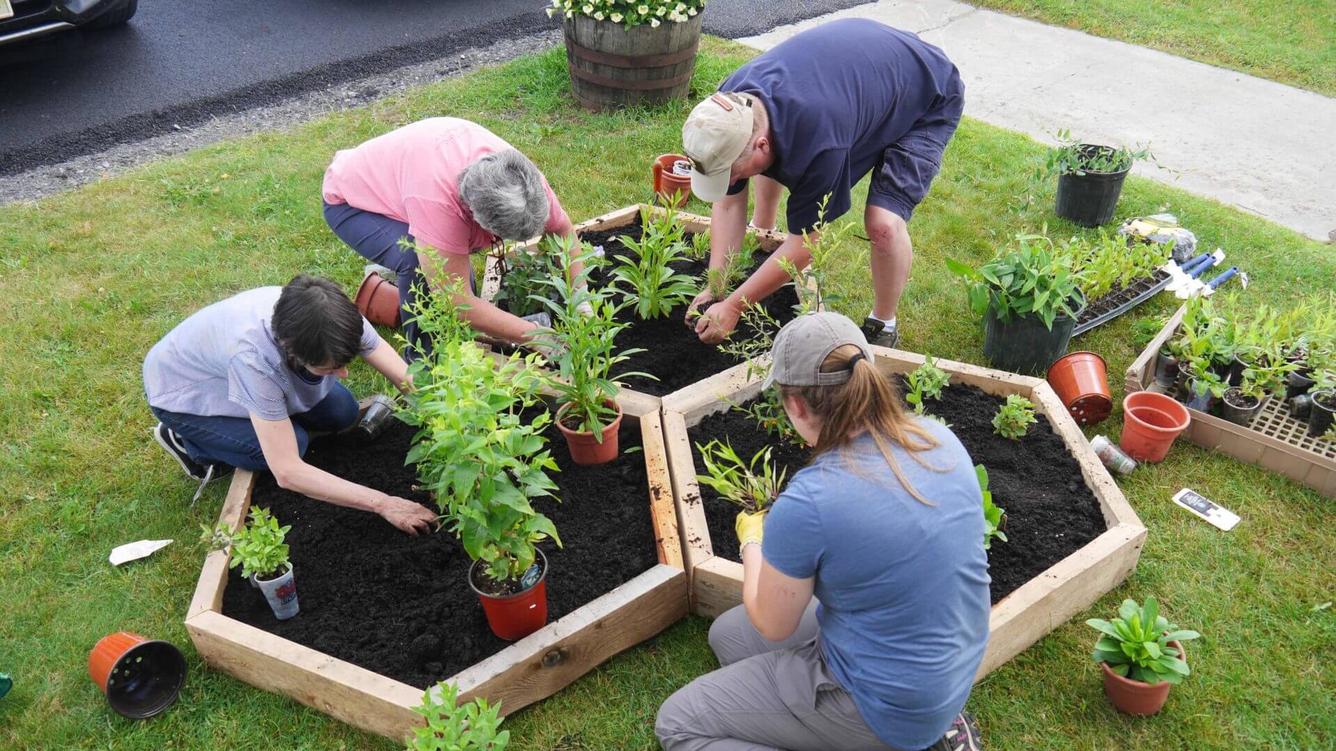 Calling Gardeners of All Ages: Help Plant the MLPBS Pollinator-Power ...