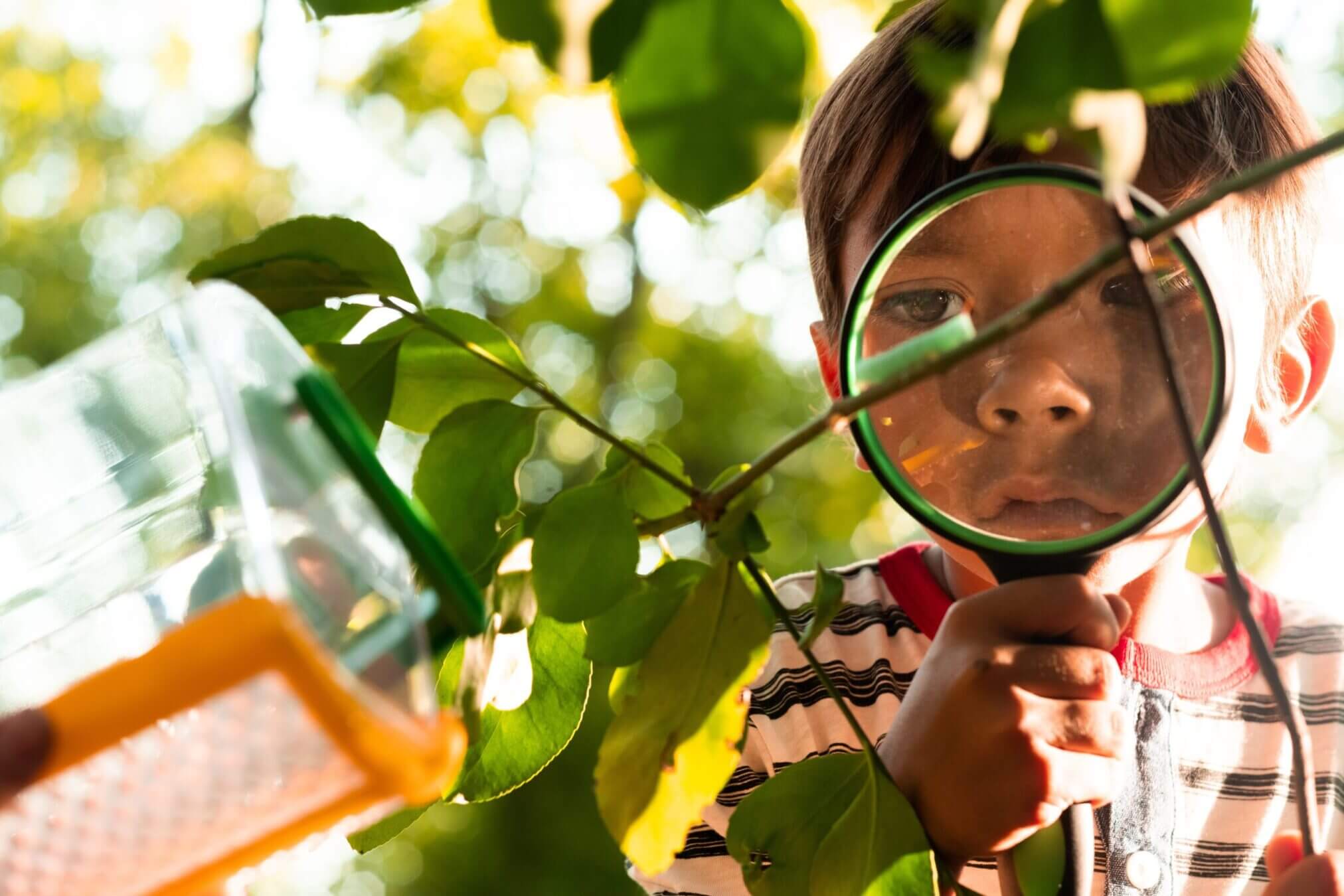 Explore the Outdoors! — Mountain Lake PBS