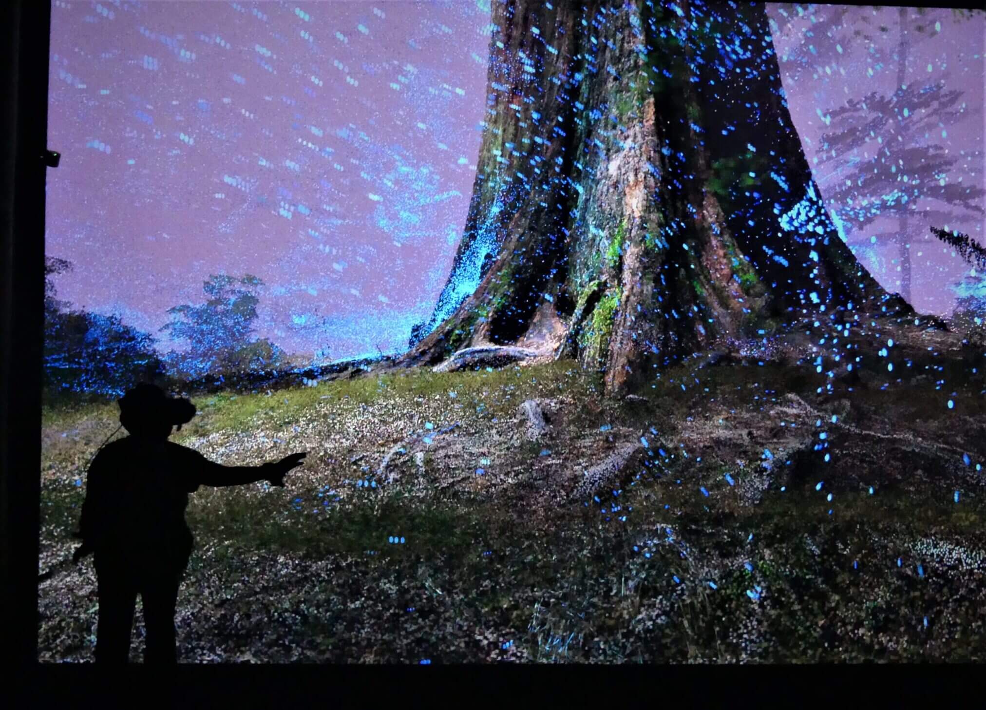 Connect intimately with nature through the majestic world of VR ...