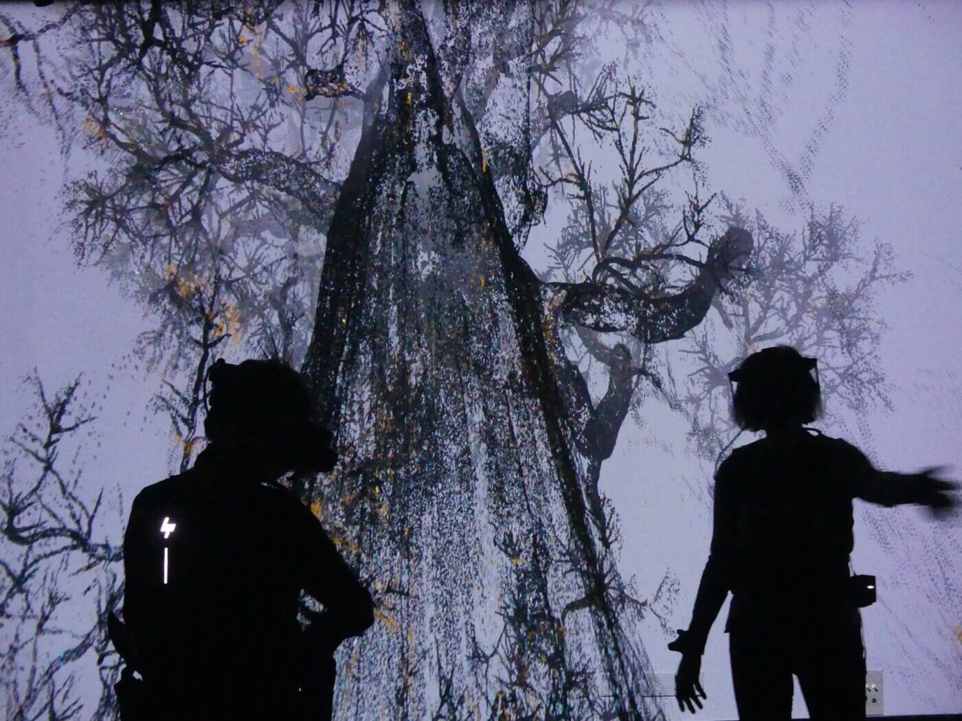 Connect intimately with nature through the majestic world of VR ...