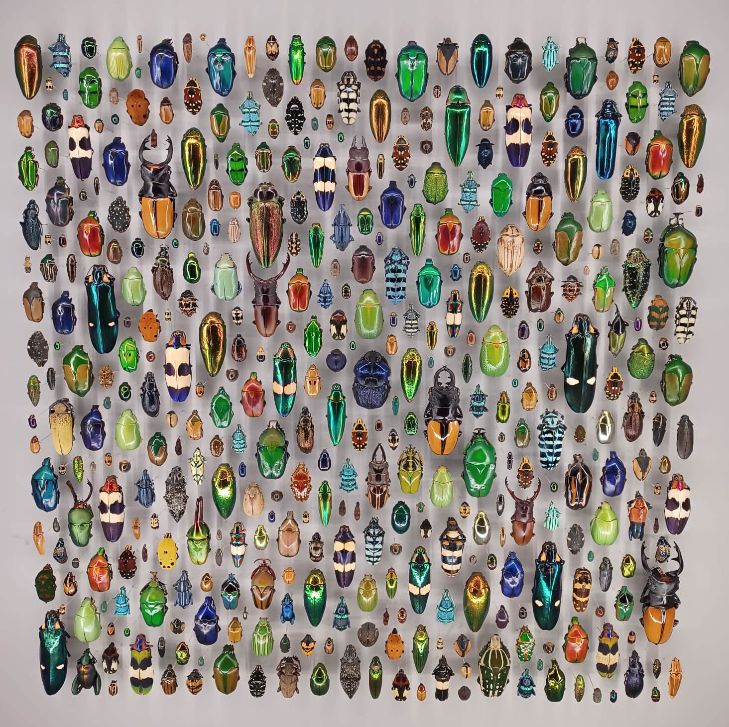 The Montreal Insectarium has enjoyed a beautiful metamorphosis and is ...