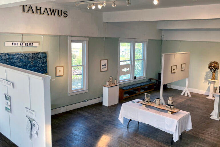 WILD about art in the North Country – Mountain Lake PBS