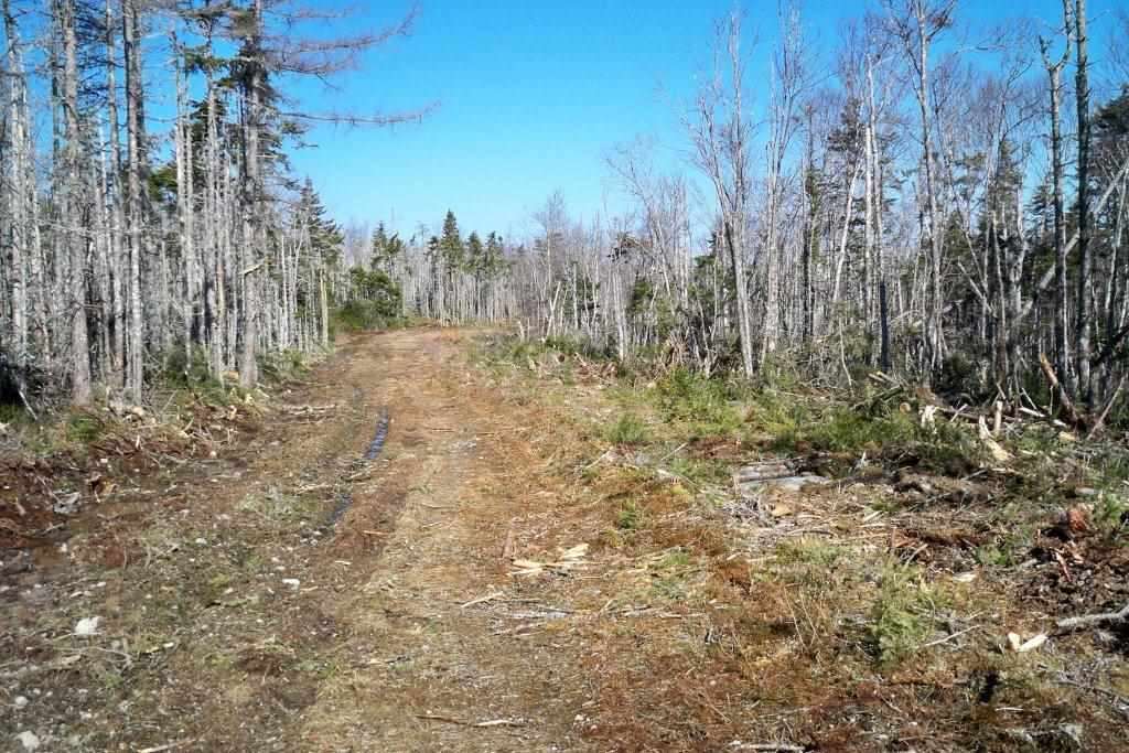 Keller Williams Select Realty : Keller Williams Select Realty : Meet ...