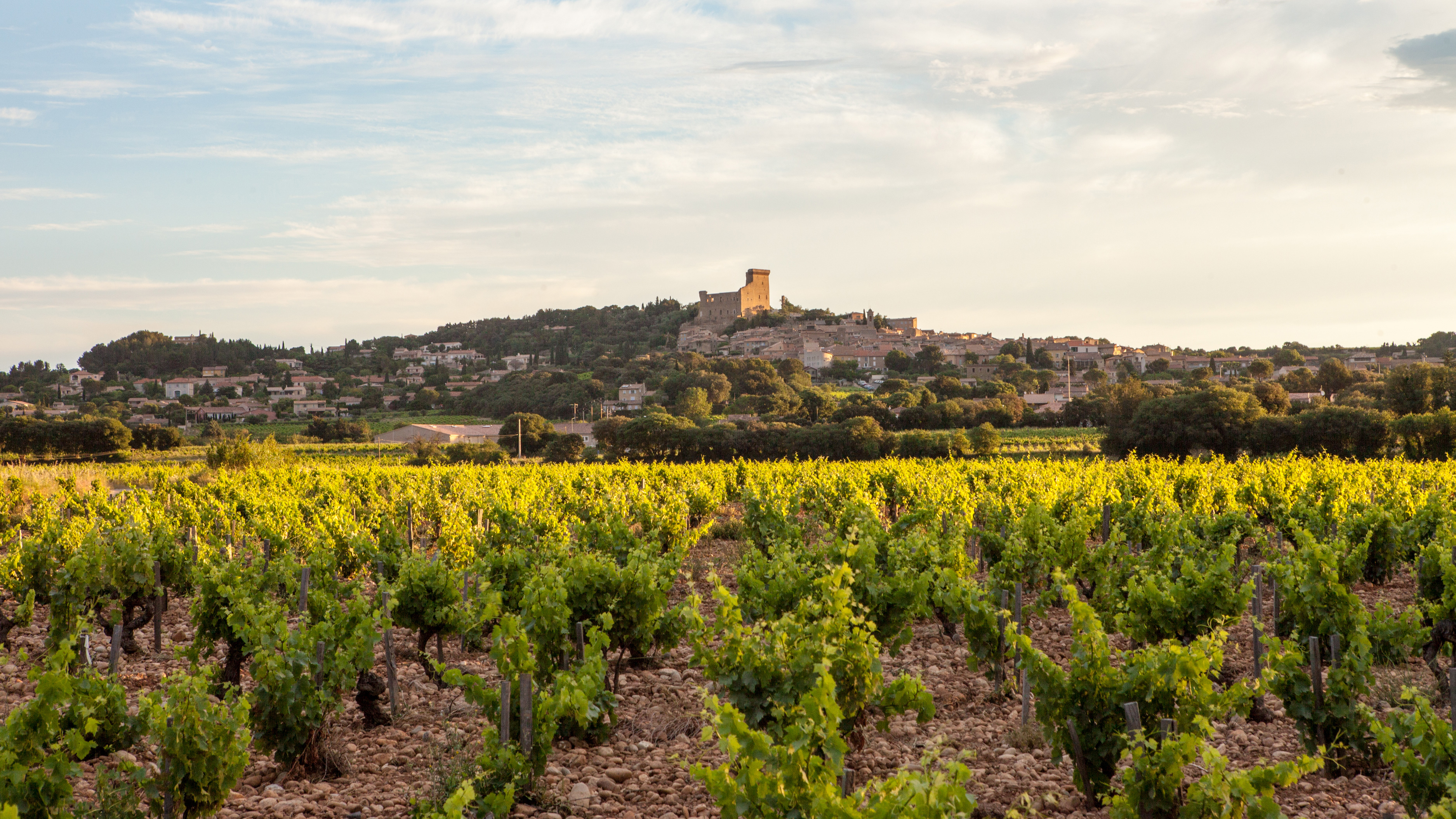 2016: Greatness in the Southern Rhône | Wine Spectator's Top 100