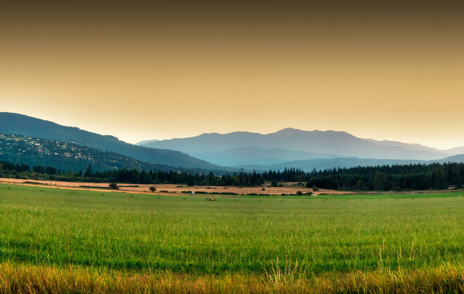 Sequim Irrigation Festival