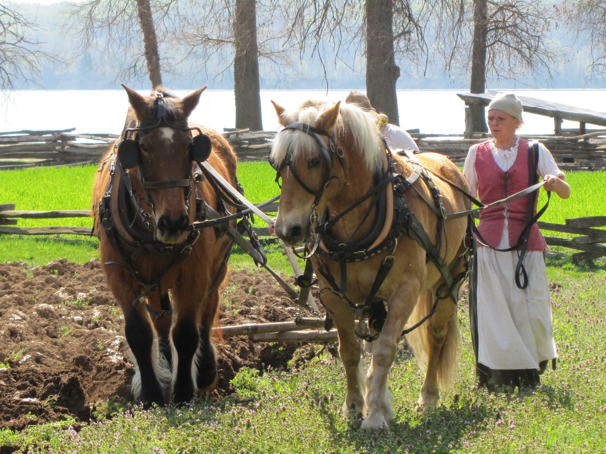 Farmer · George Washington's Mount Vernon