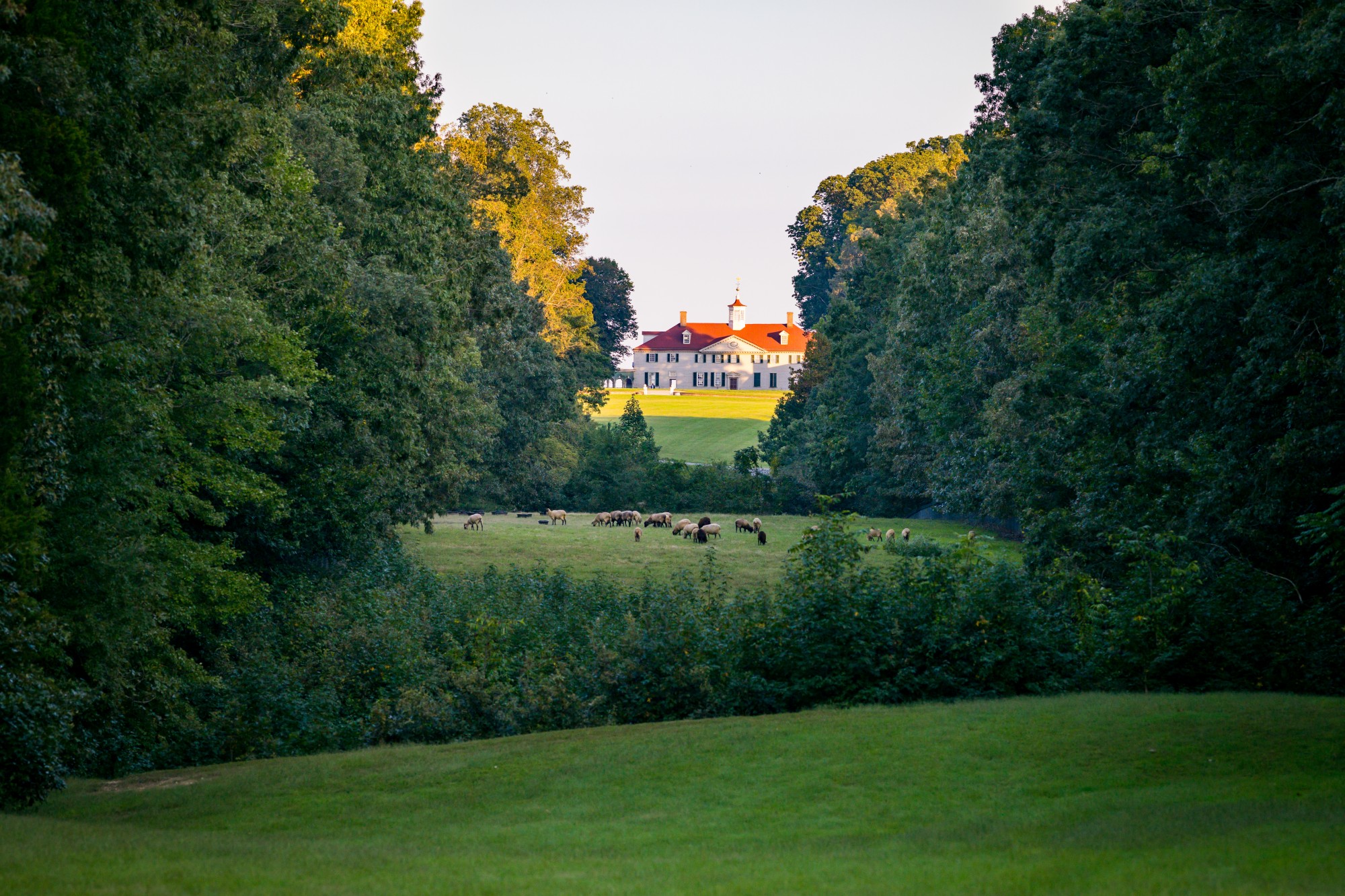 Life Guard Society Event · George Washington's Mount Vernon