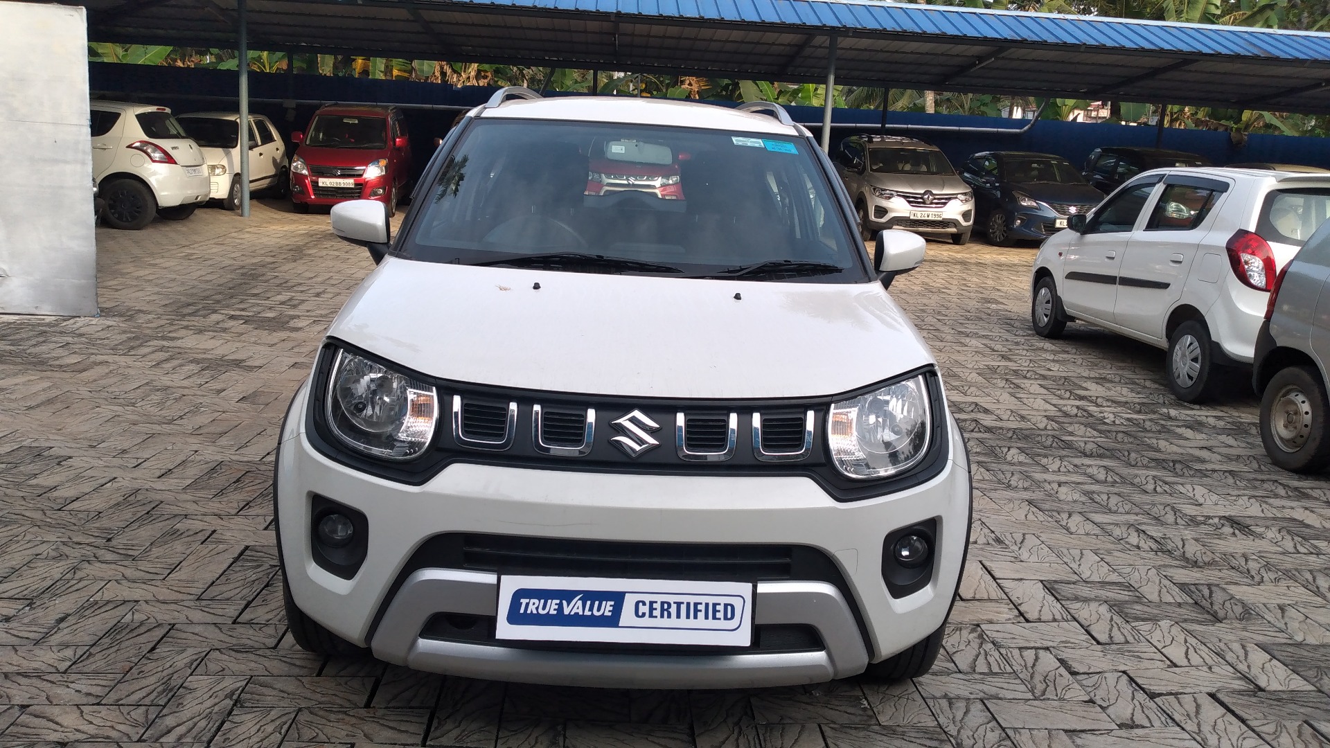 Used Maruti Suzuki Ignis- Second Hand Ignis Cars in India Online ...
